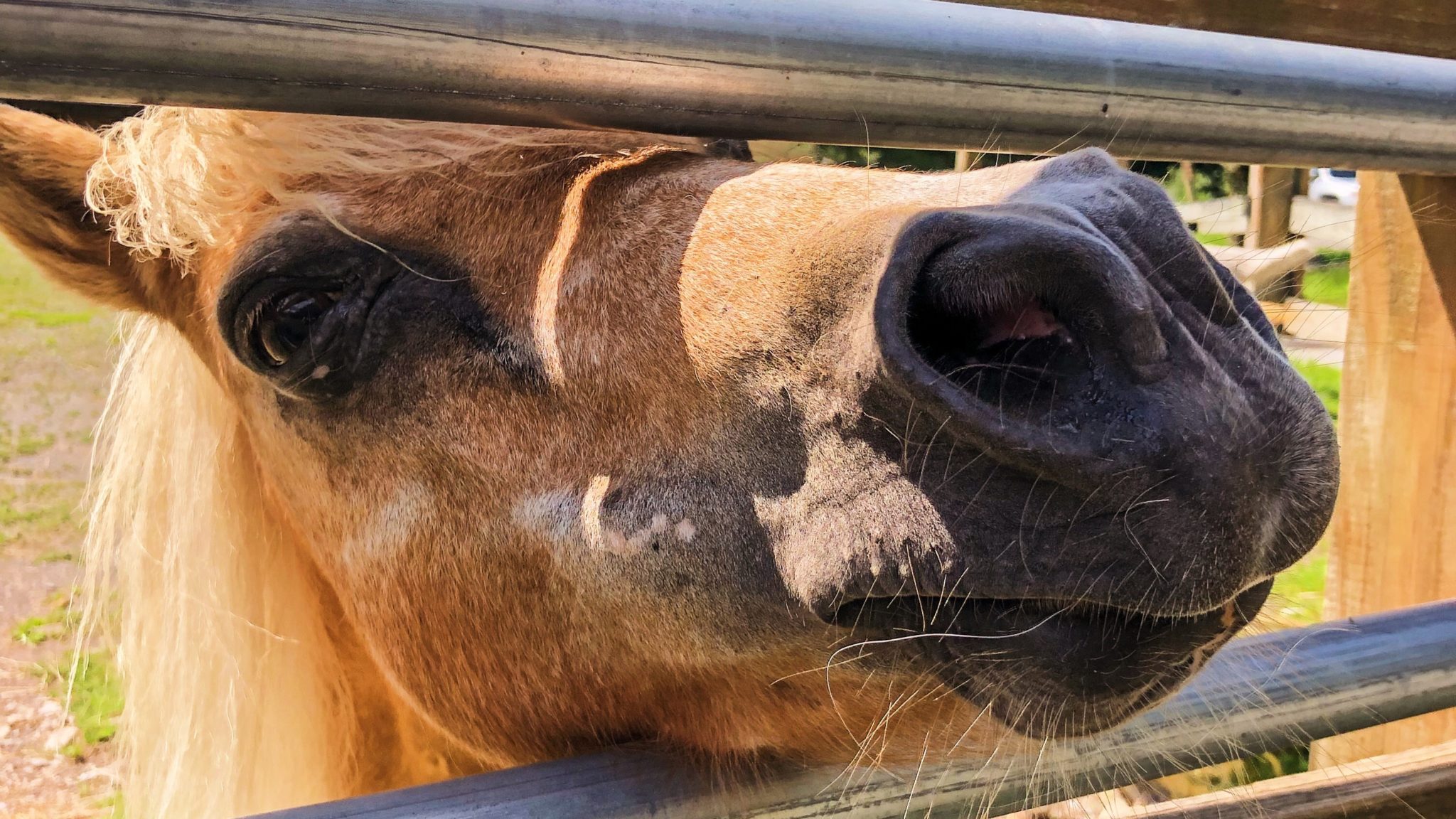 Amenities | Masthope Mountain Community