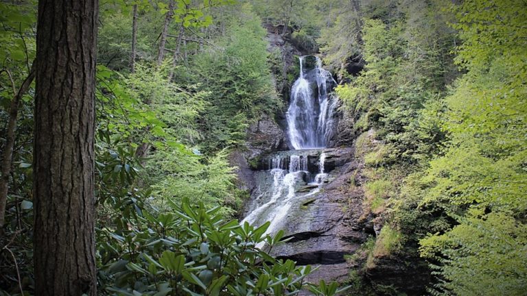 Resources | Masthope Mountain Community