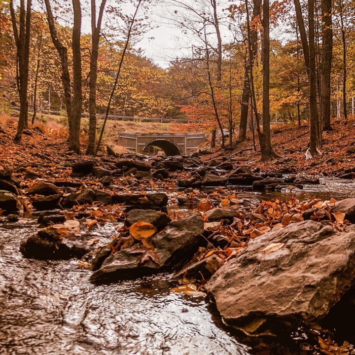 Resources | Masthope Mountain Community