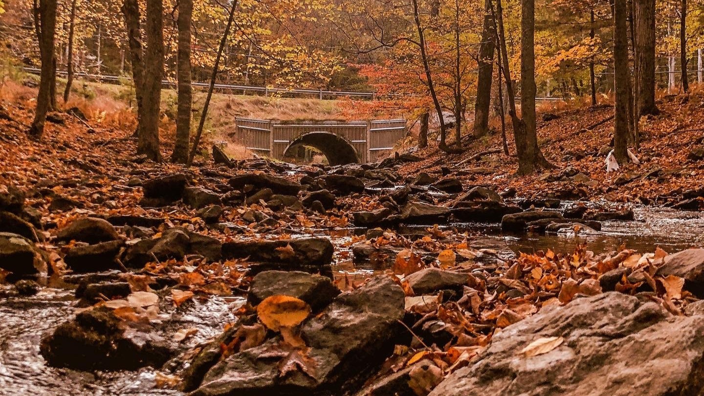 Amenities | Masthope Mountain Community